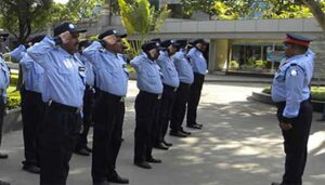 Services - Tiger Security Guard Services